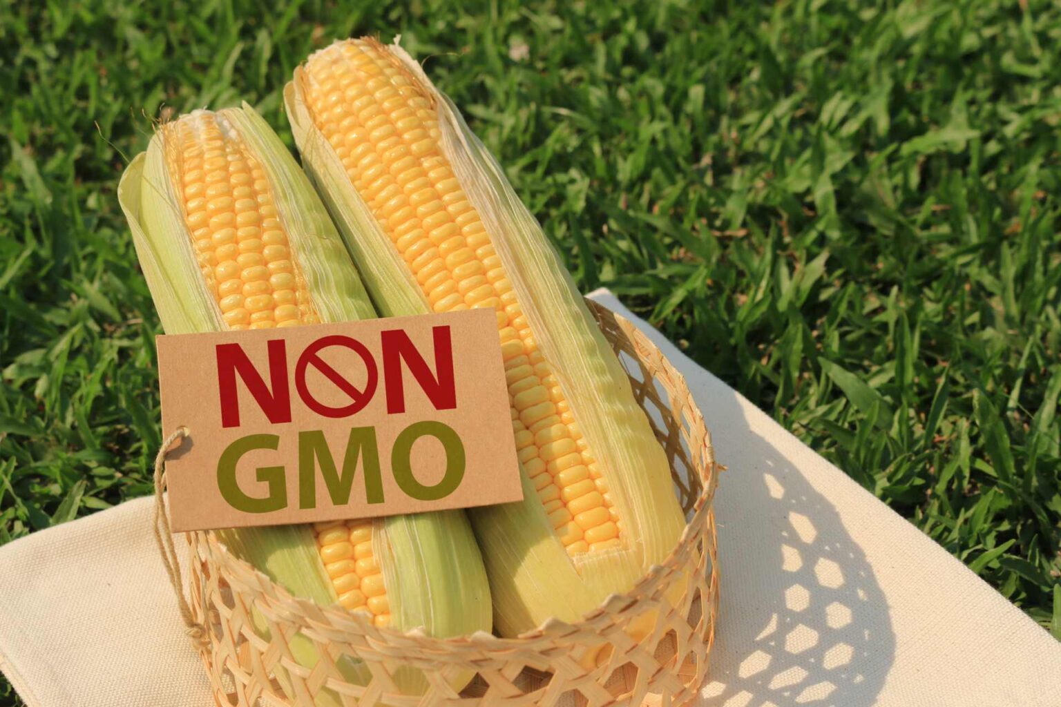Gene Technology Bill and Glyphosate: A Hidden Connection?
