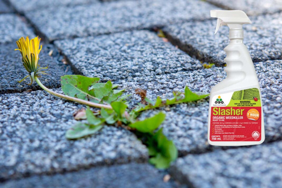 Slasher Weedkiller Review (NZ): Safe, Fast & Organic