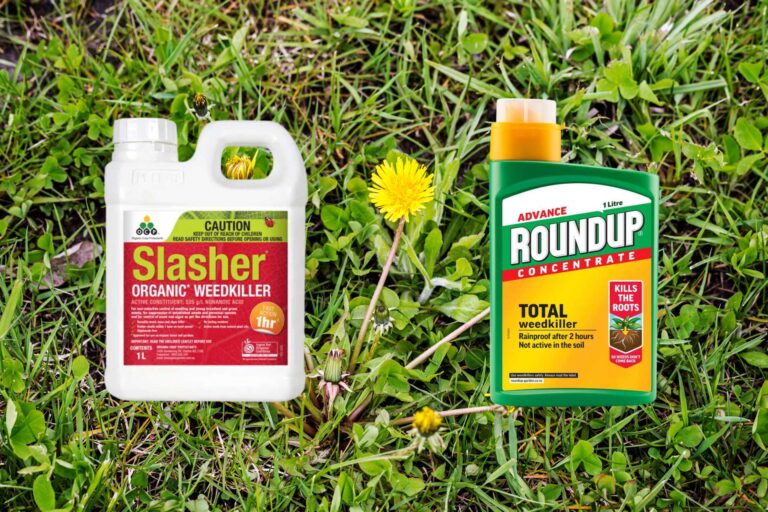Slasher vs Roundup: A Practical Guide for NZ Weed Control